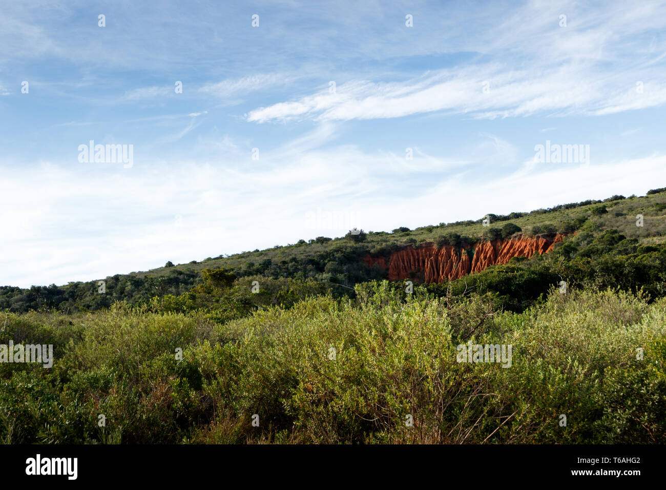 Animal erosion hi-res stock photography and images - Alamy
