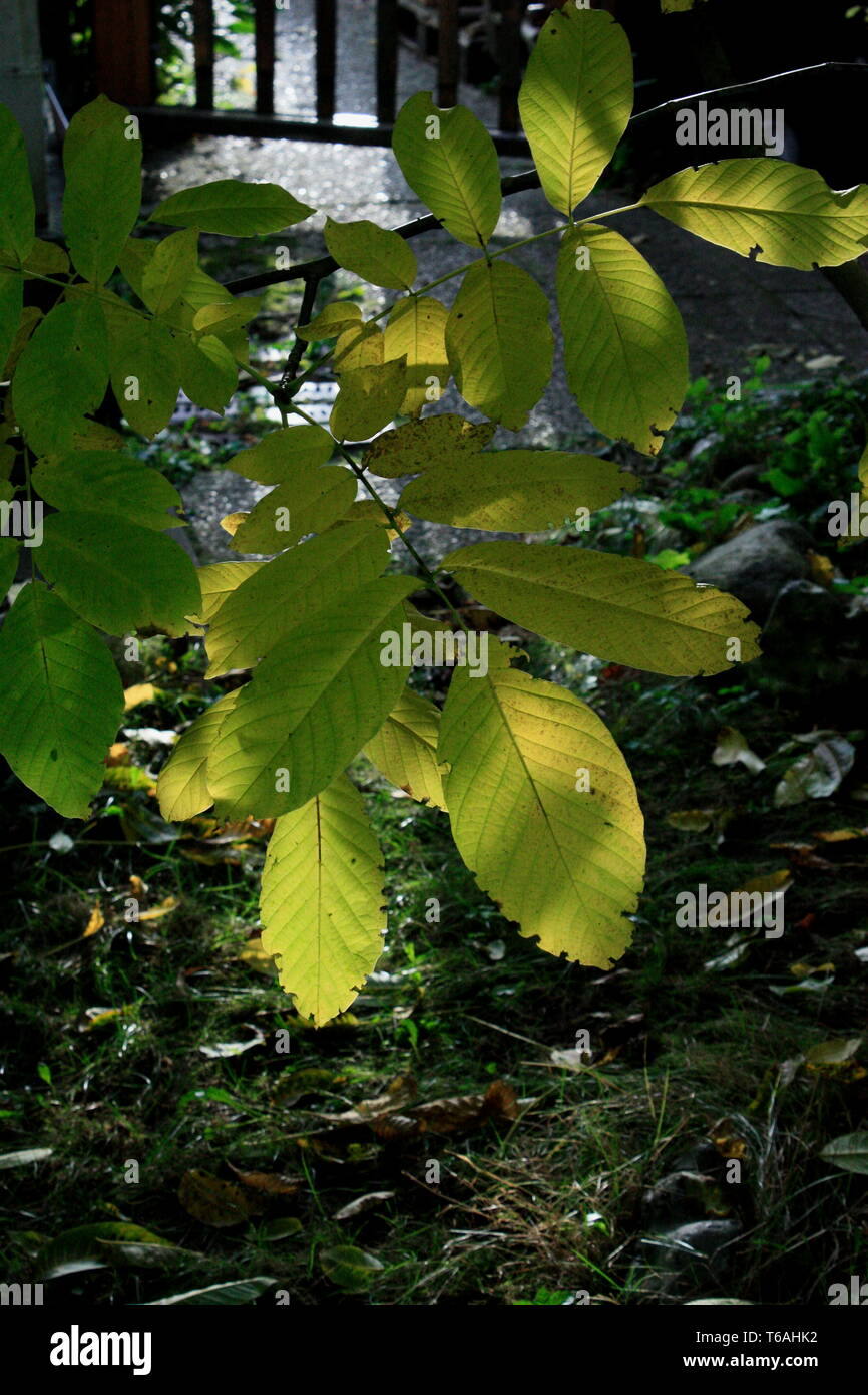 In advance hi-res stock photography and images - Alamy