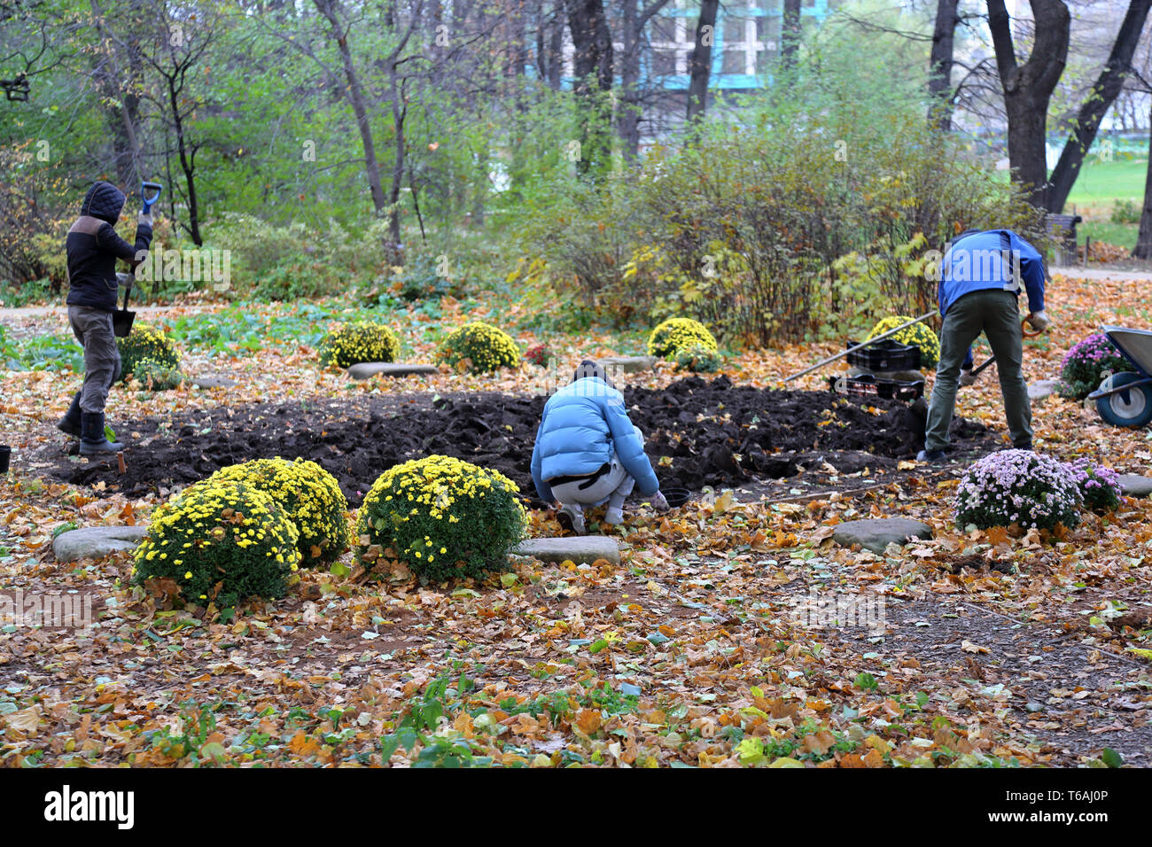 Ennoble High Resolution Stock Photography and Images - Alamy