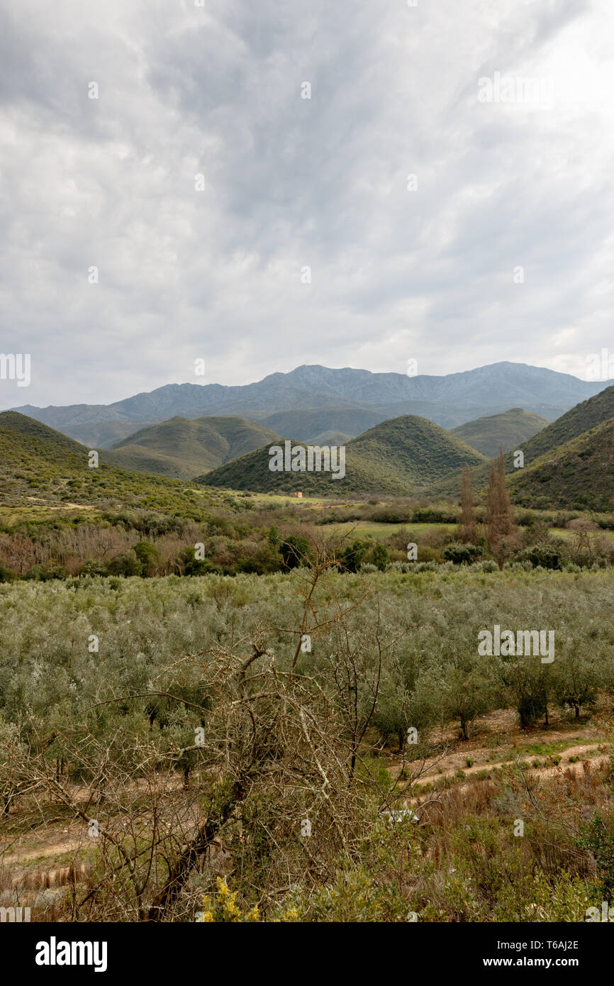African orchard hi-res stock photography and images - Alamy
