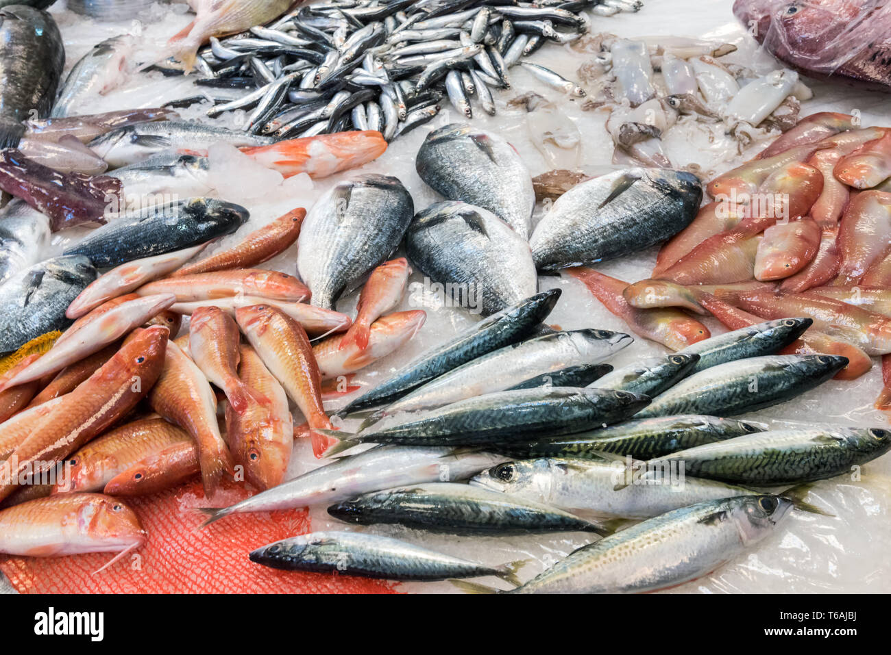 Colorful choice of fish at a market in Palermo, Sicily Stock Photo - Alamy