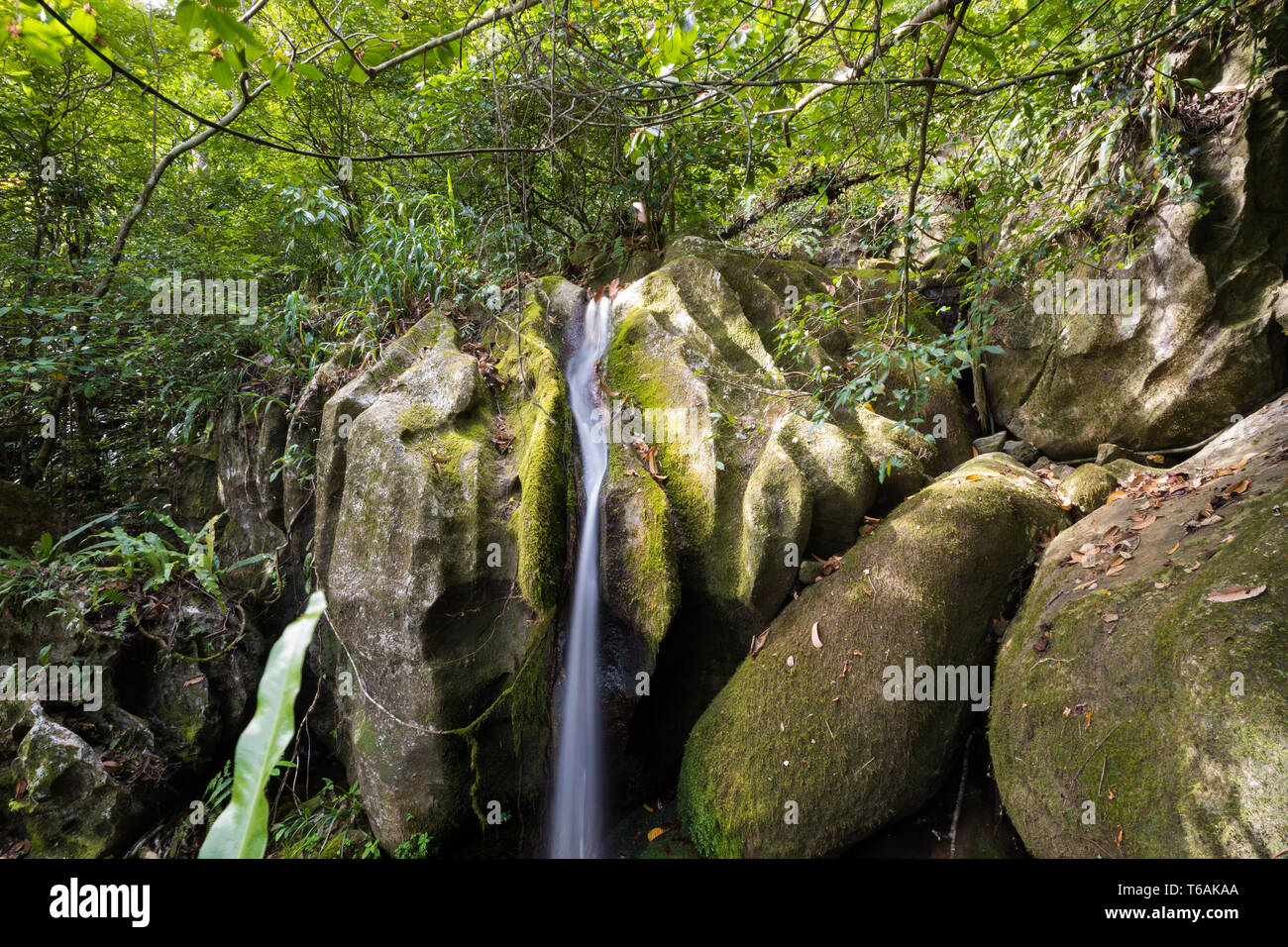 Small waterfall in Masoala national park, Madagascar Stock Photo - Alamy