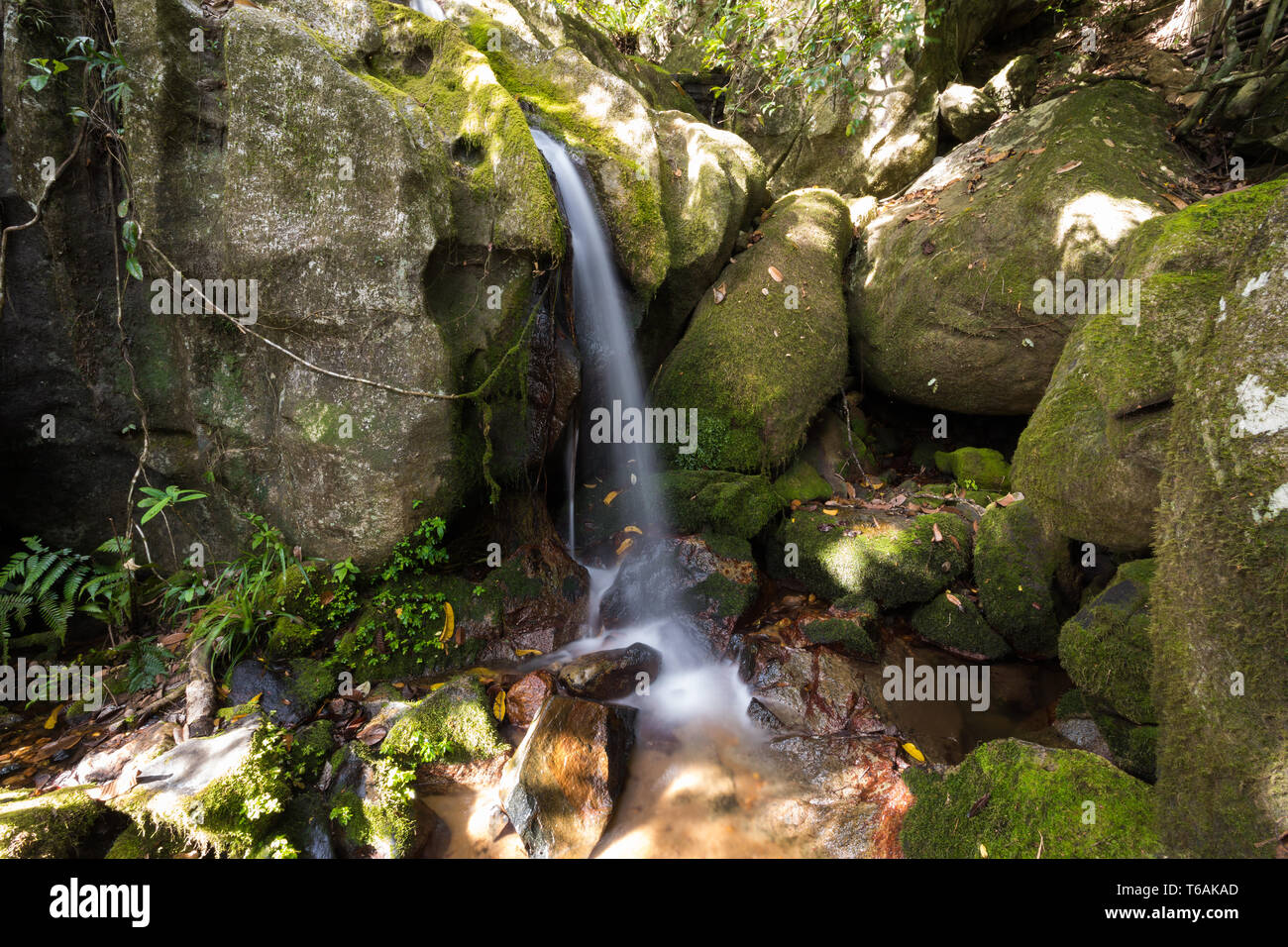 Small waterfall in Masoala national park, Madagascar Stock Photo - Alamy
