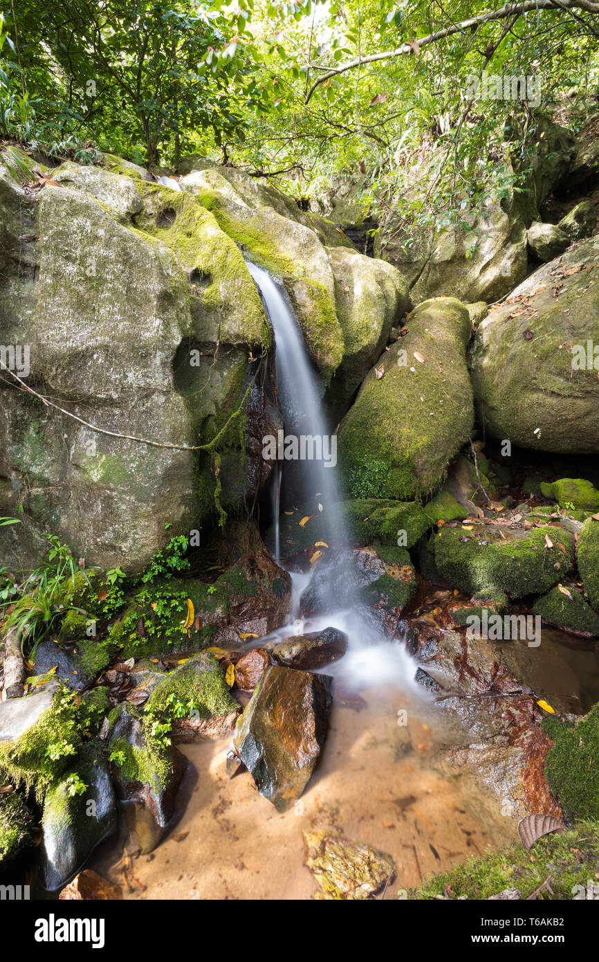Small waterfall in Masoala national park, Madagascar Stock Photo - Alamy