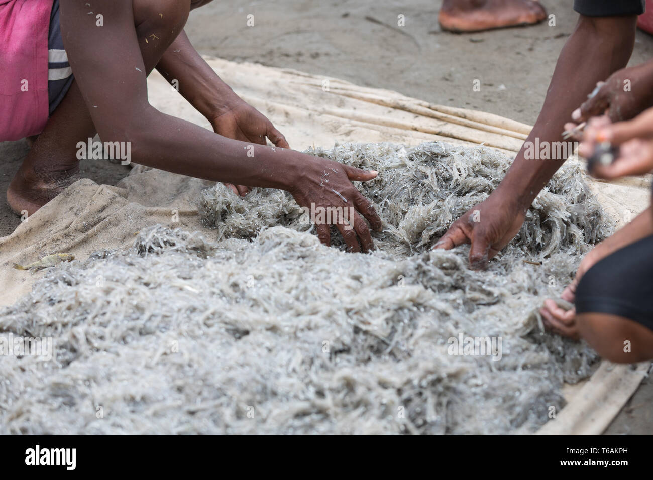 Native Malagasy fishermen fishing on sea, Madagascar Stock Photo - Alamy