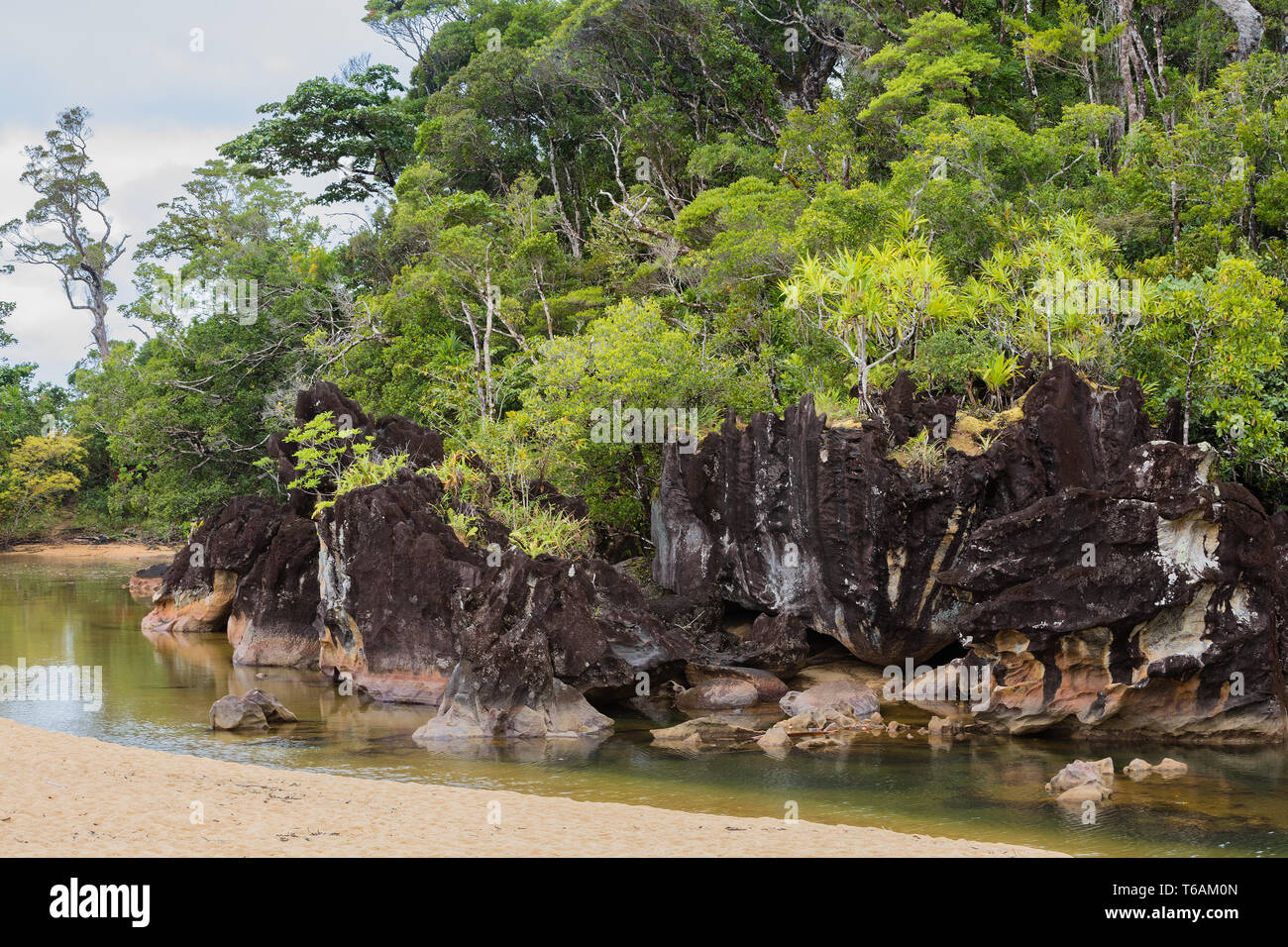 Landscape of Masoala National Park, Madagascar Stock Photo - Alamy
