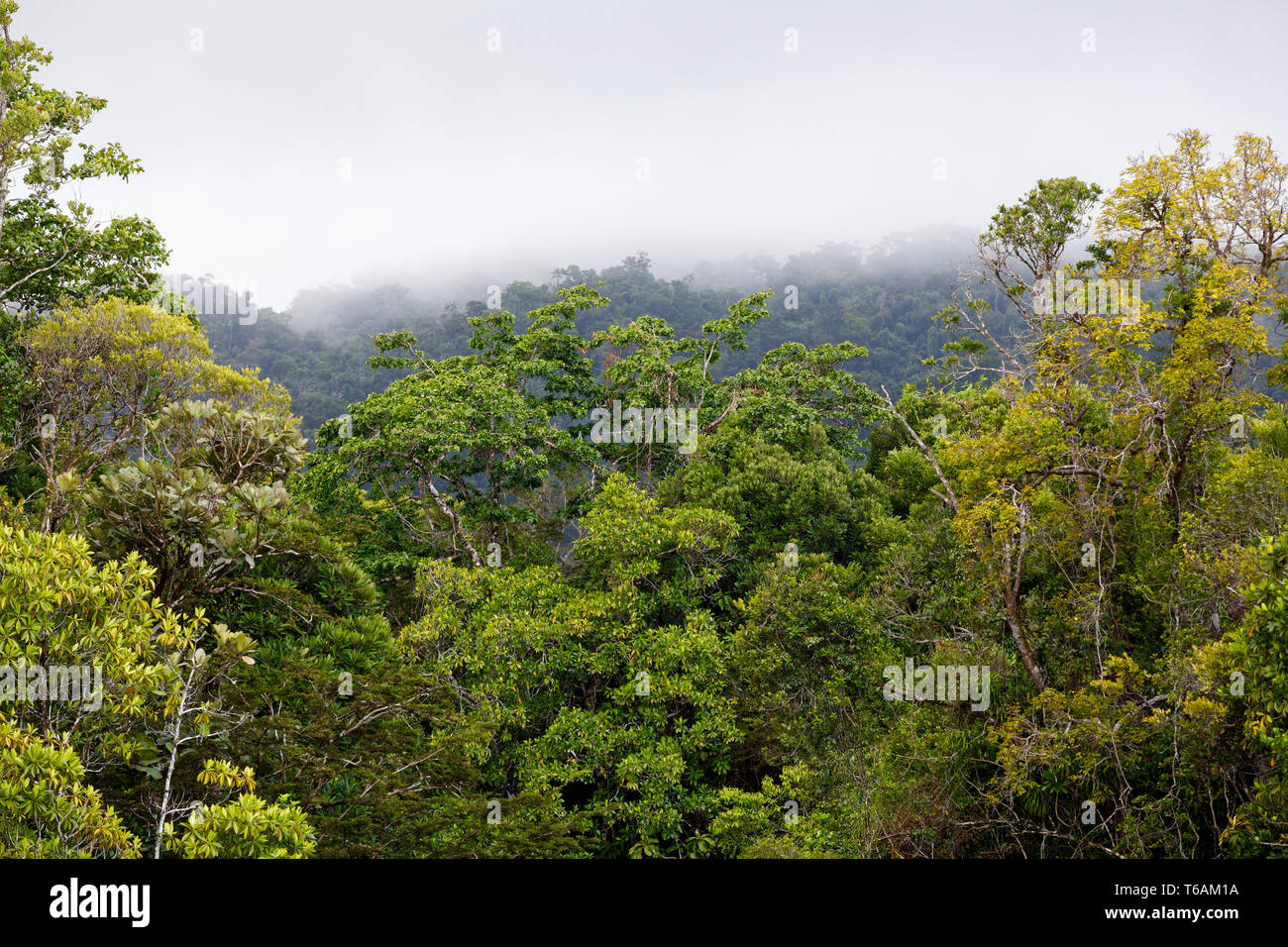 Landscape of Masoala National Park, Madagascar Stock Photo - Alamy