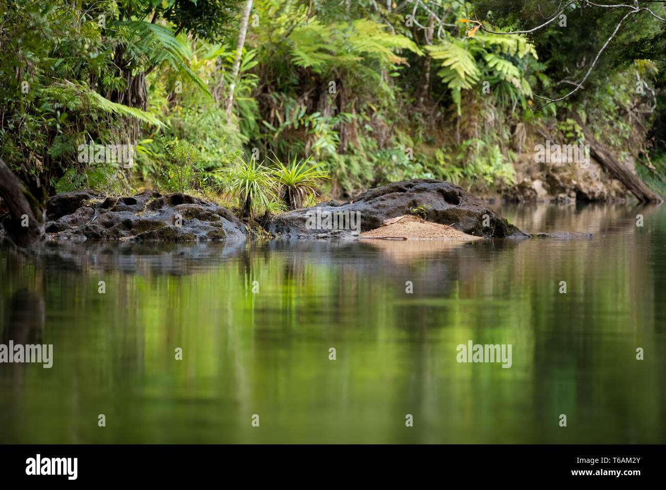 Landscape of Masoala National Park, Madagascar Stock Photo - Alamy