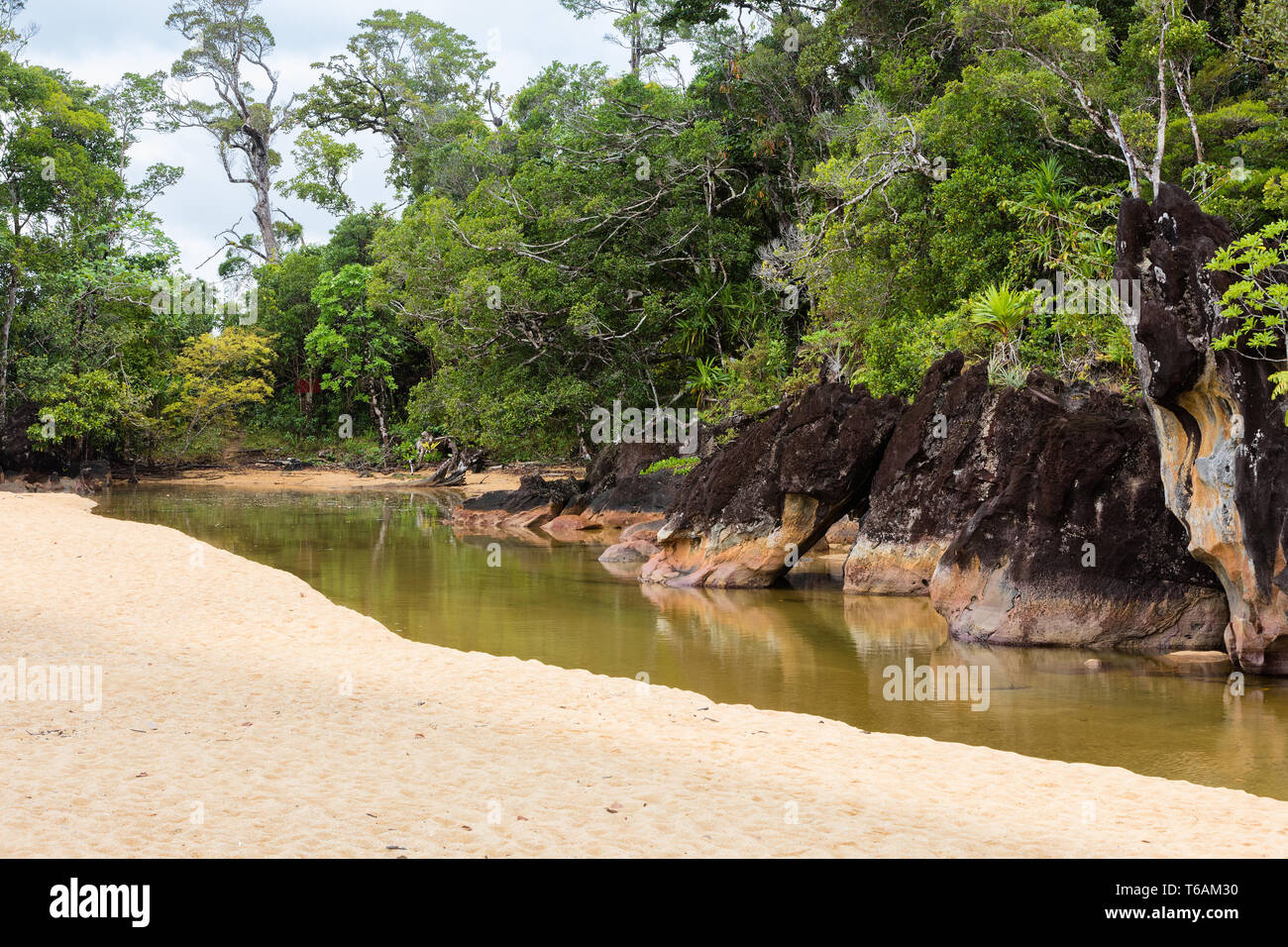 Landscape of Masoala National Park, Madagascar Stock Photo - Alamy