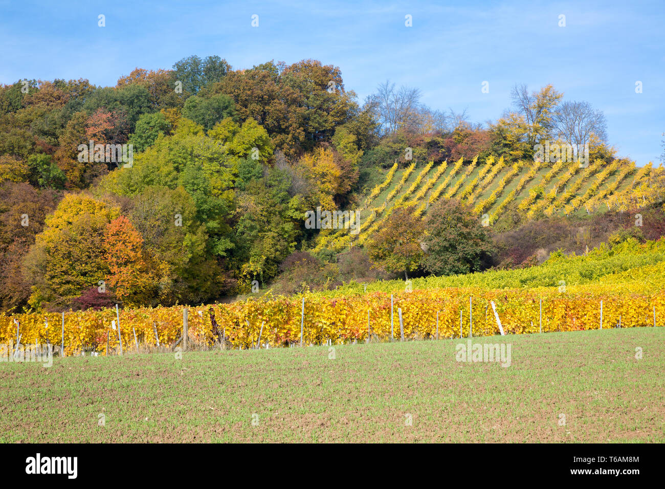 Autumn in southern Styria Stock Photo - Alamy