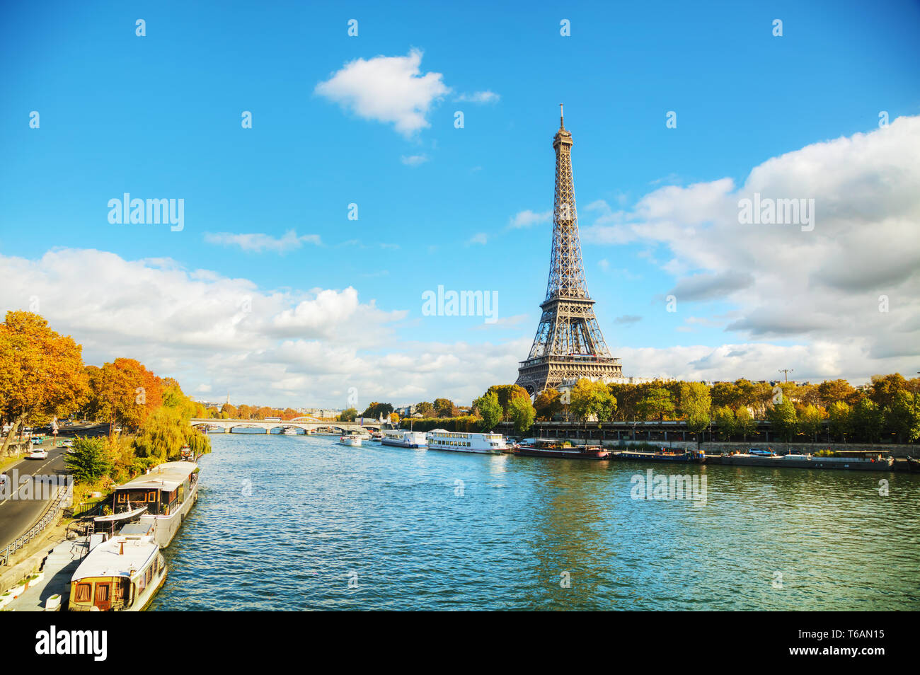 Cityscape of Paris with the Eiffel tower Stock Photo - Alamy