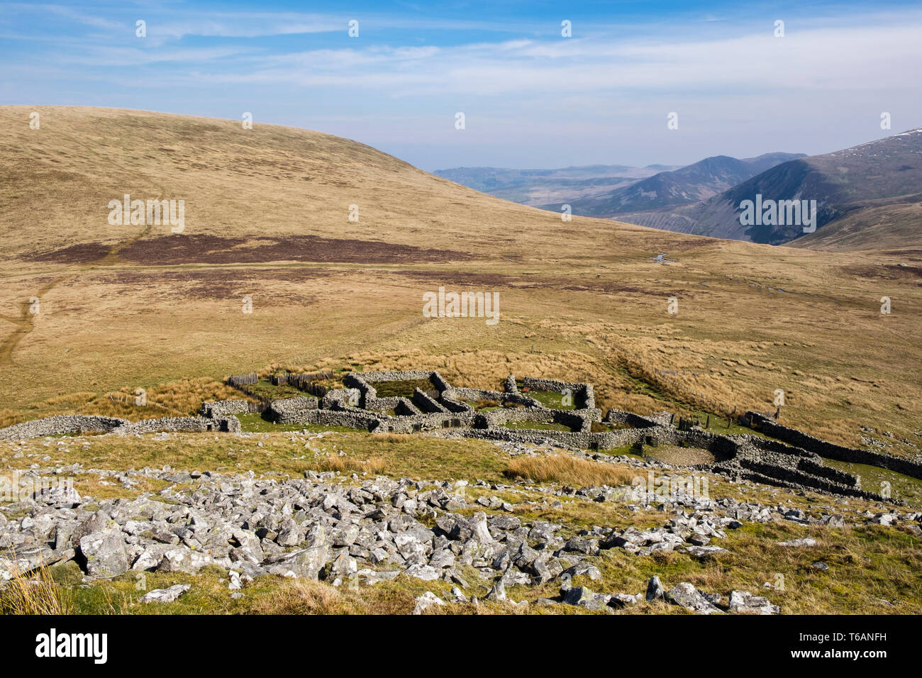 Sheepfolds hi-res stock photography and images - Alamy