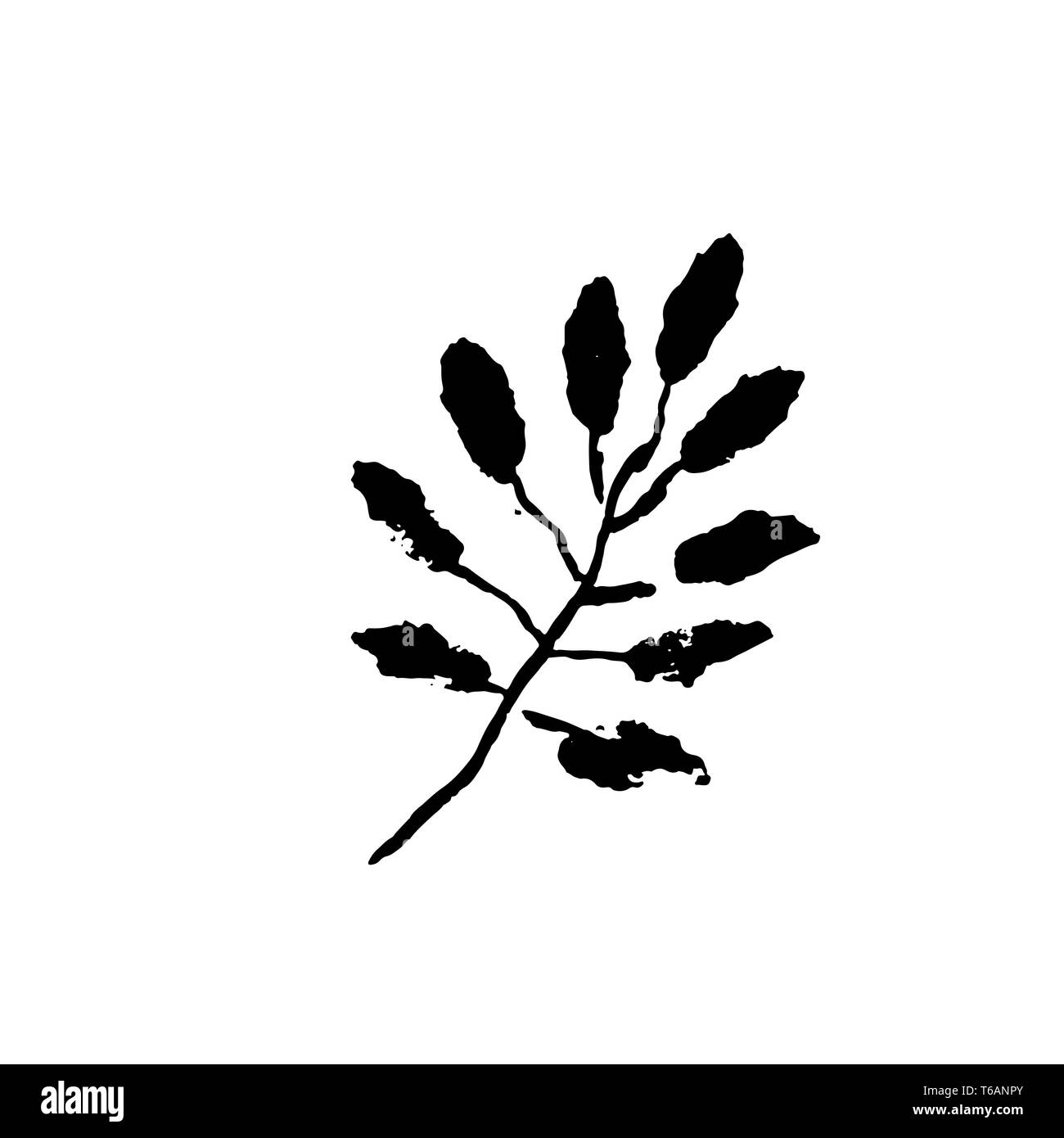Leaf icon. Grunge vector dry brush illustration Stock Vector Image ...