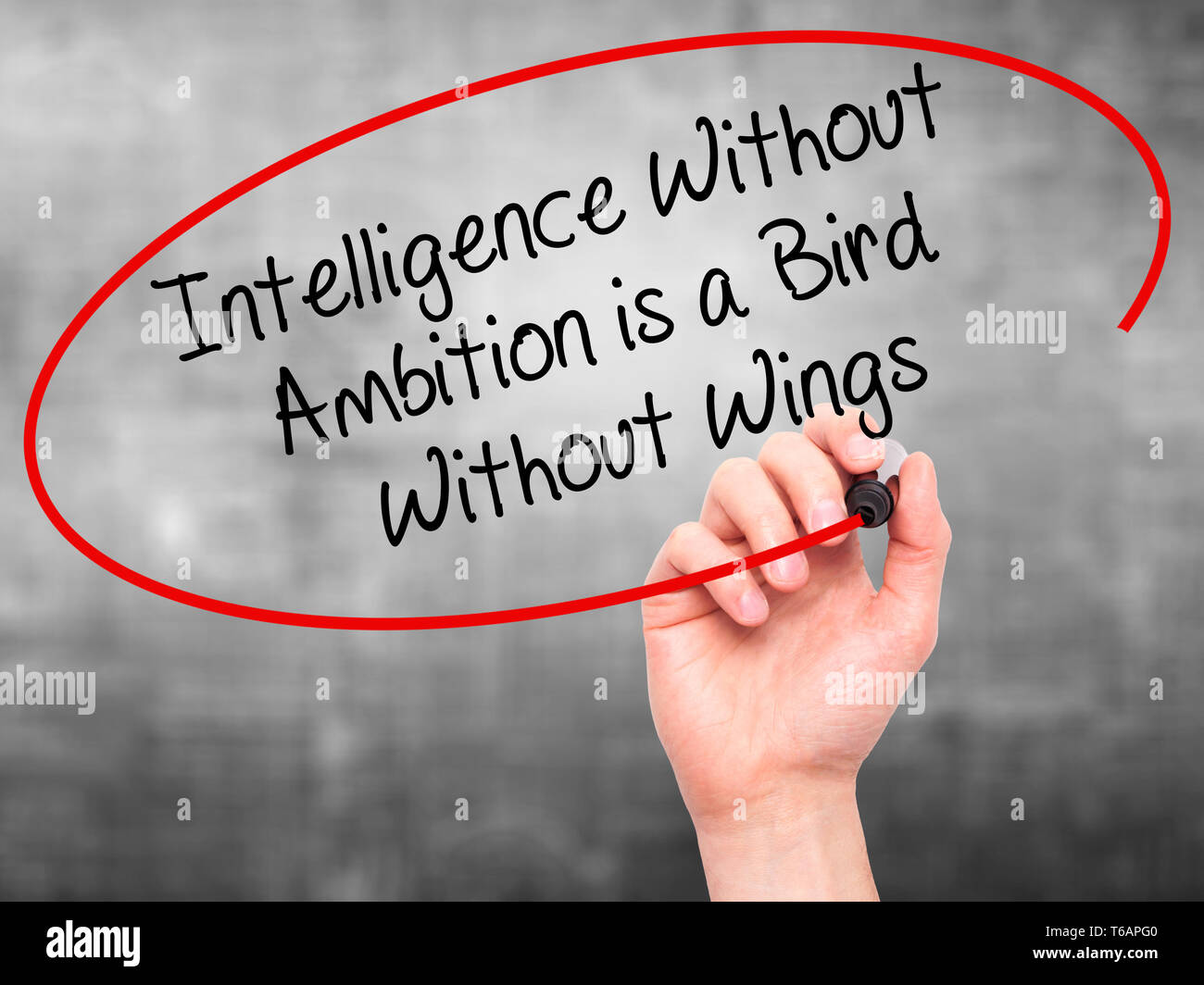 Man Hand writing Intelligence Without Ambition is a Bird Without Wings ...