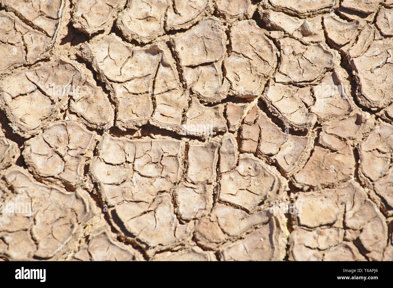 Dried clay soil amidst drought conditions Stock Photo - Alamy