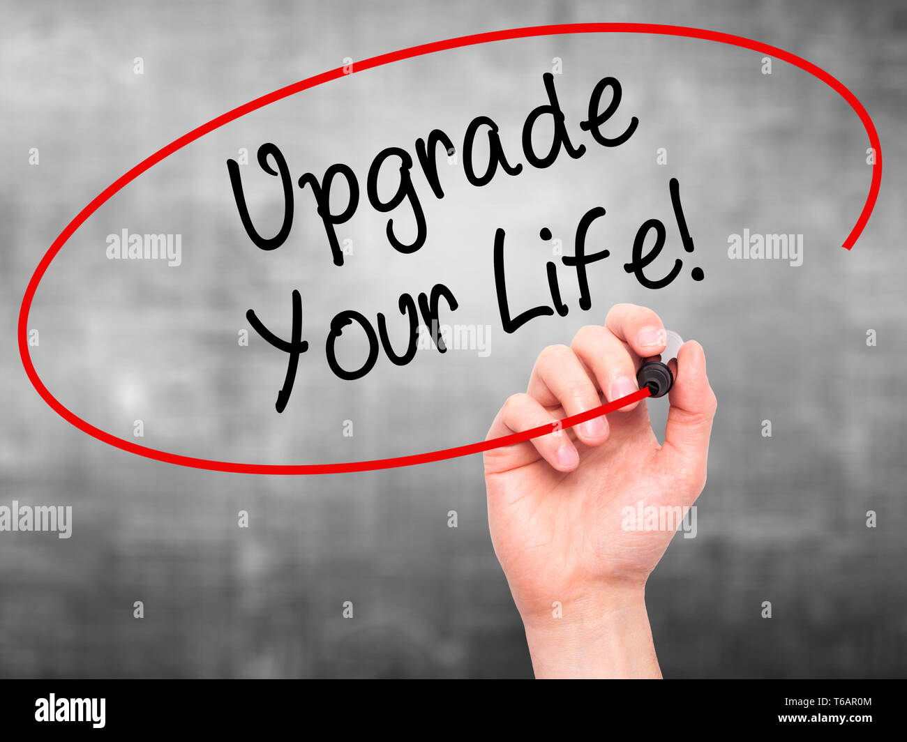 Plan de software hi-res stock photography and images - Alamy