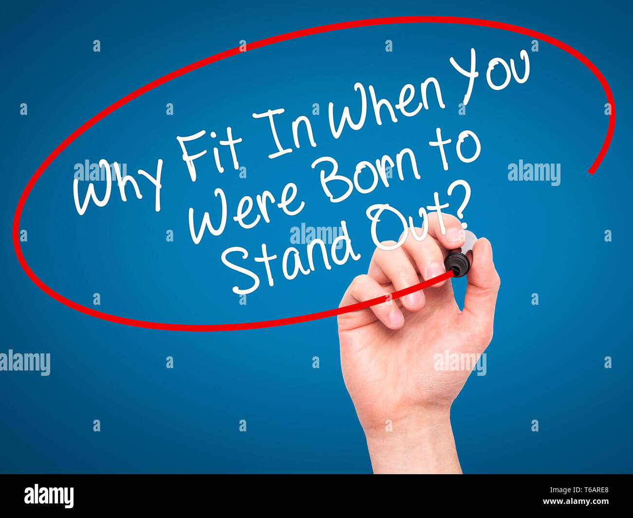 Man Hand writing Why Fit In When You Were Born to Stand Out? with black ...