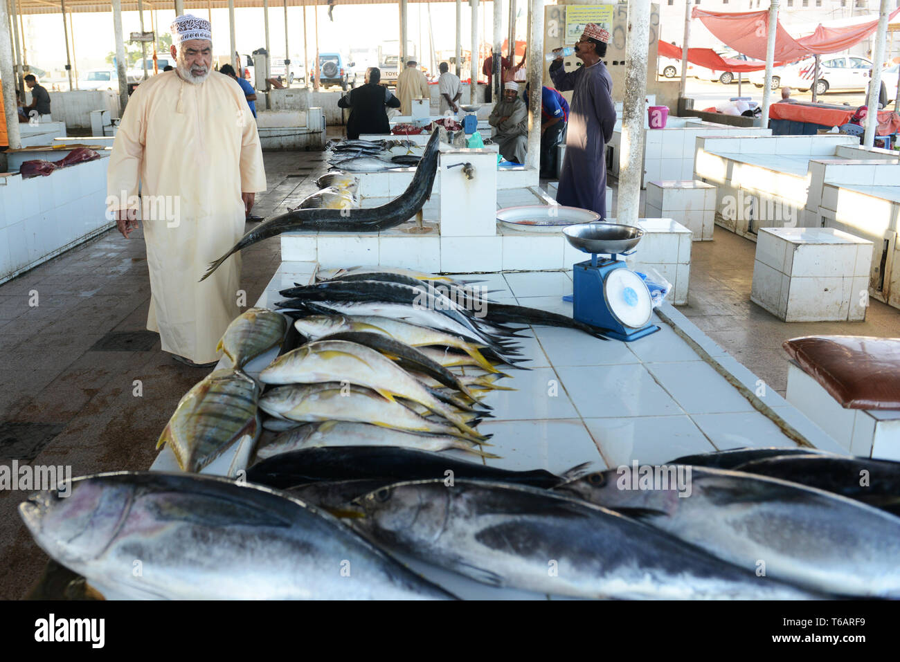 The morning fish market in the coastal town of Barka, Oman Stock Photo ...