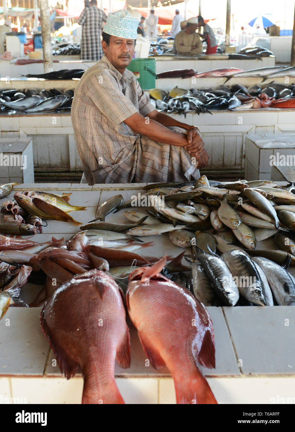 The morning fish market in the coastal town of Barka, Oman Stock Photo ...