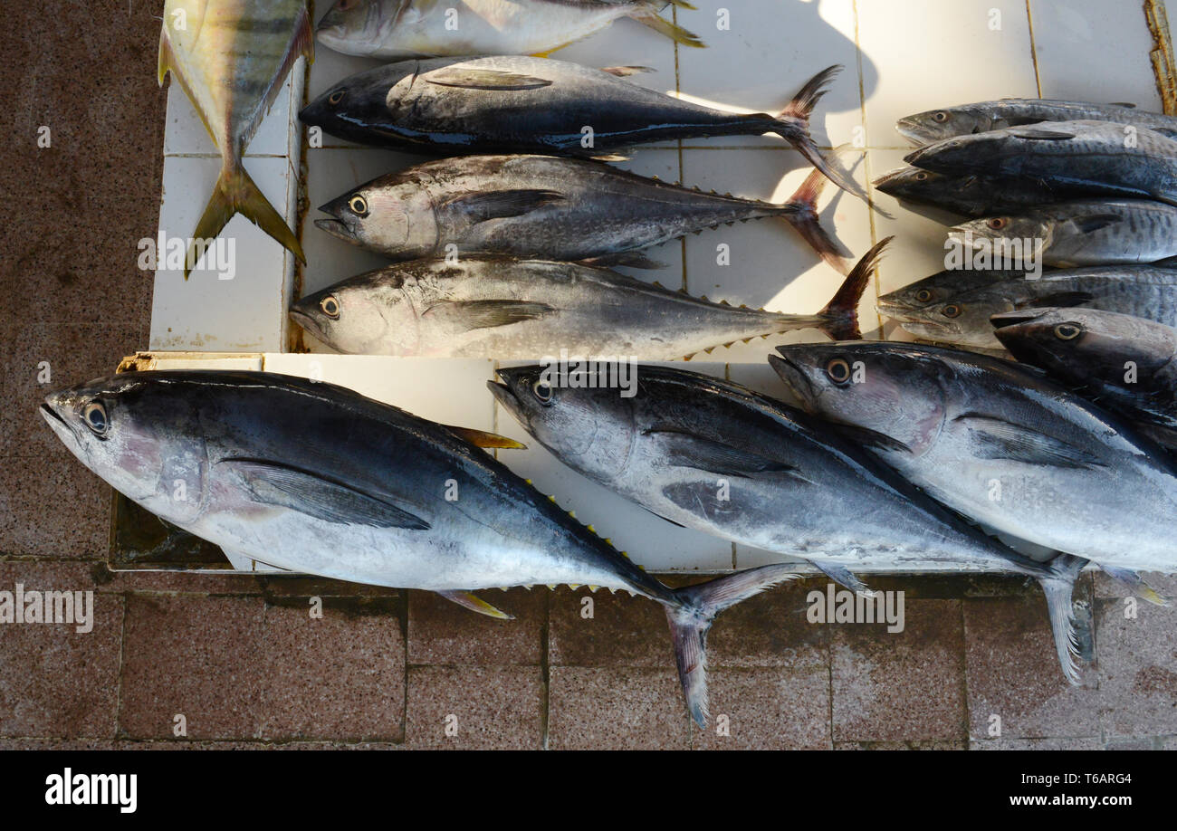 Middle east souk fish hi-res stock photography and images - Alamy