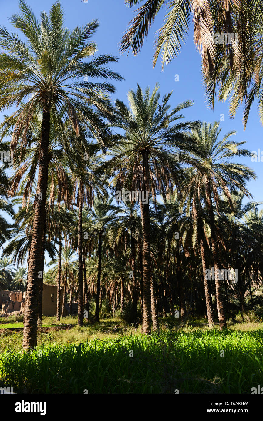 Al thowarah hi-res stock photography and images - Alamy