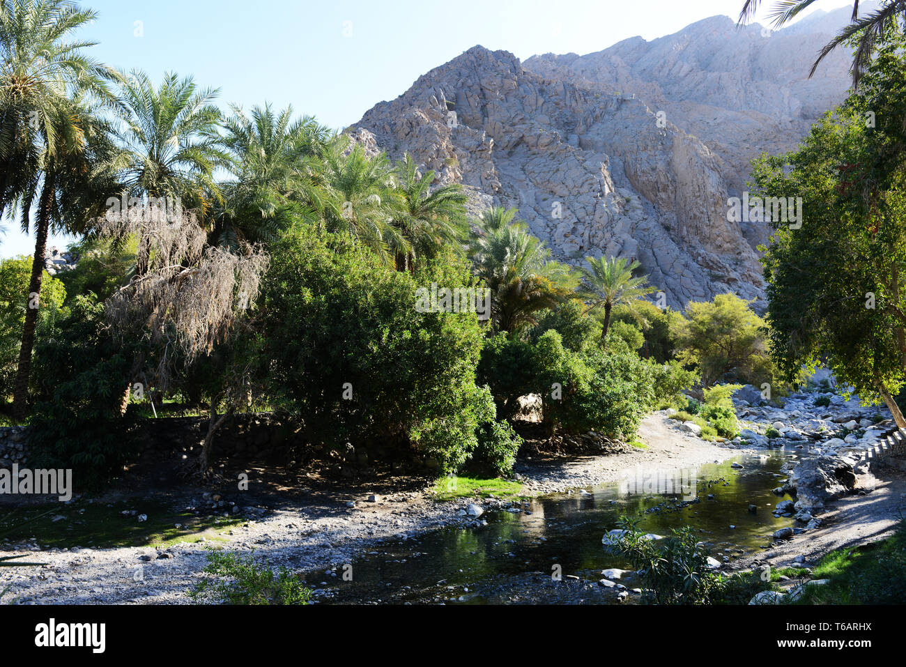 The Al Thowarah Hot Springs in Nakhl, Oman Stock Photo - Alamy