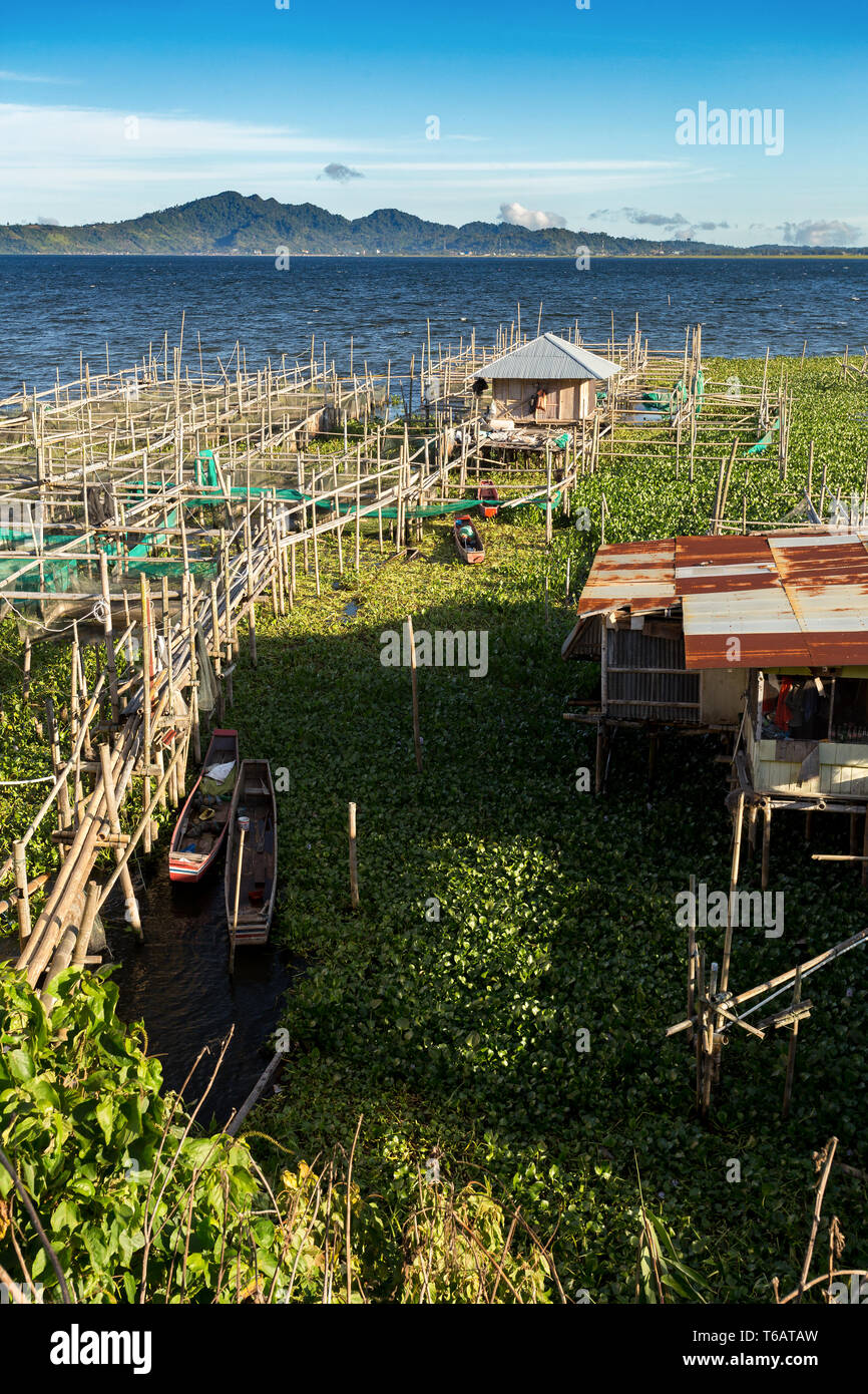 Fish farm at Lake Tondano Stock Photo - Alamy