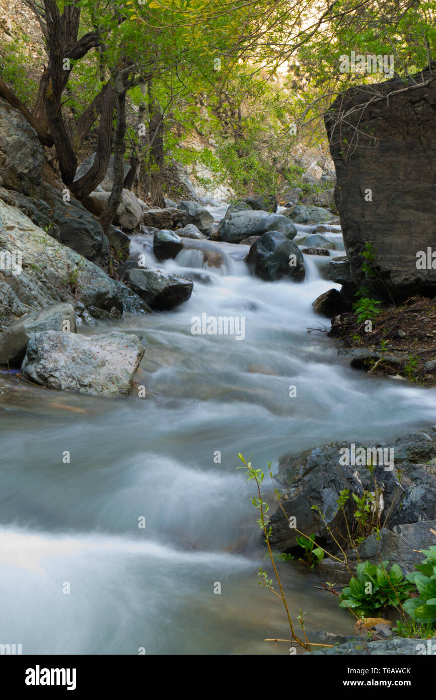 darakeh river, tehran, iran Stock Photo - Alamy