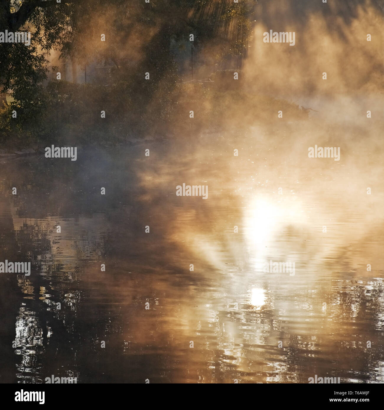 Sun in river hi-res stock photography and images - Alamy