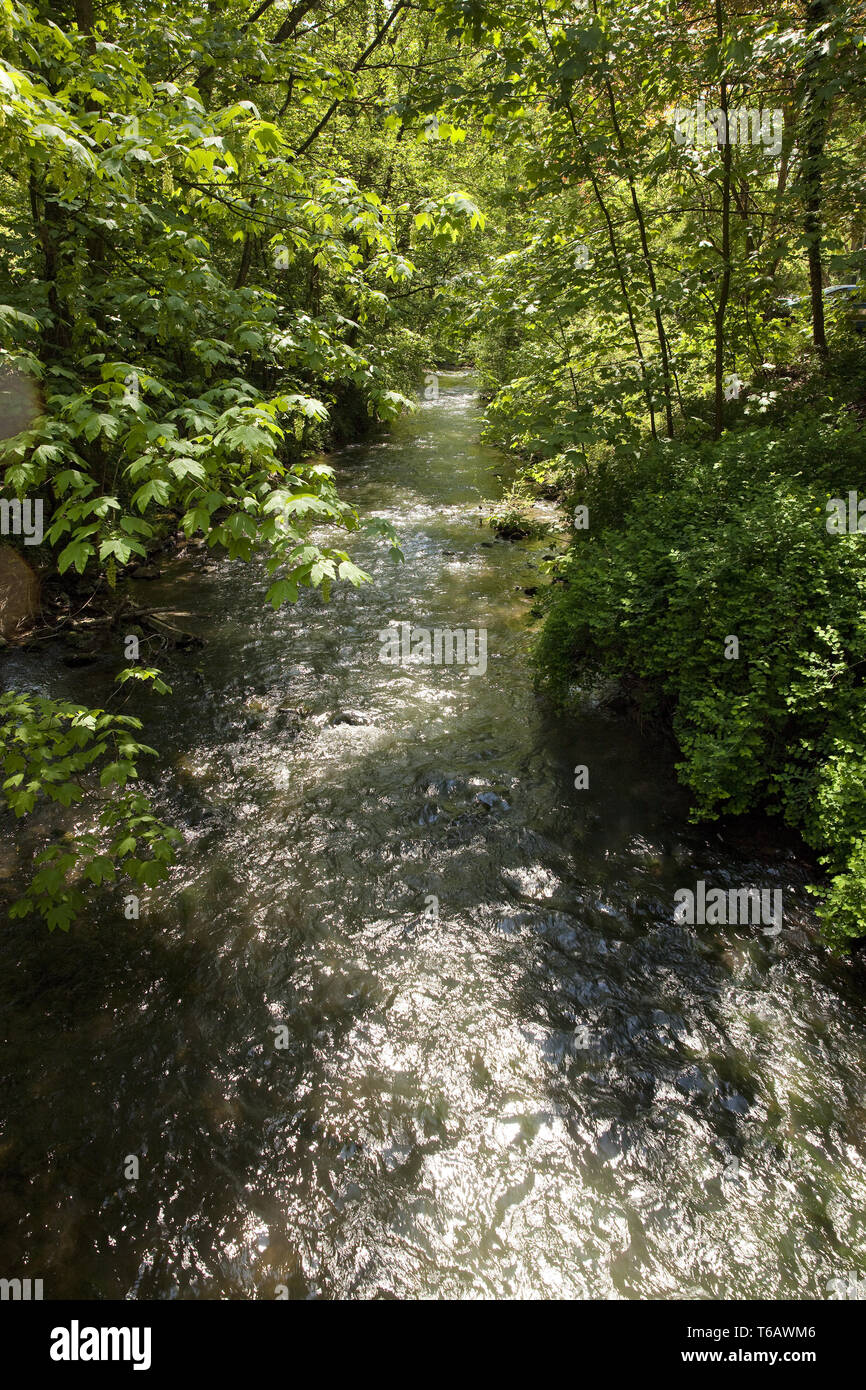 Neandertal valley with neanderthal hi-res stock photography and images ...