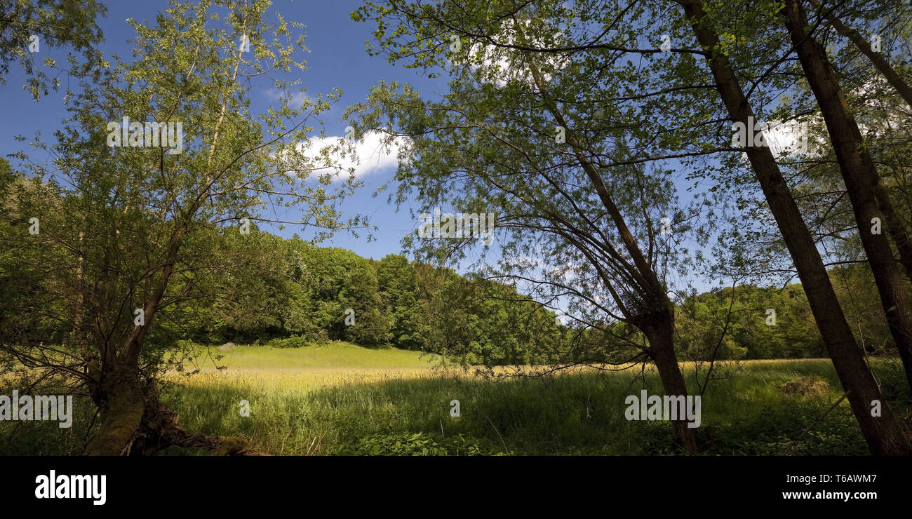 Neandertal valley with neanderthal hi-res stock photography and images ...