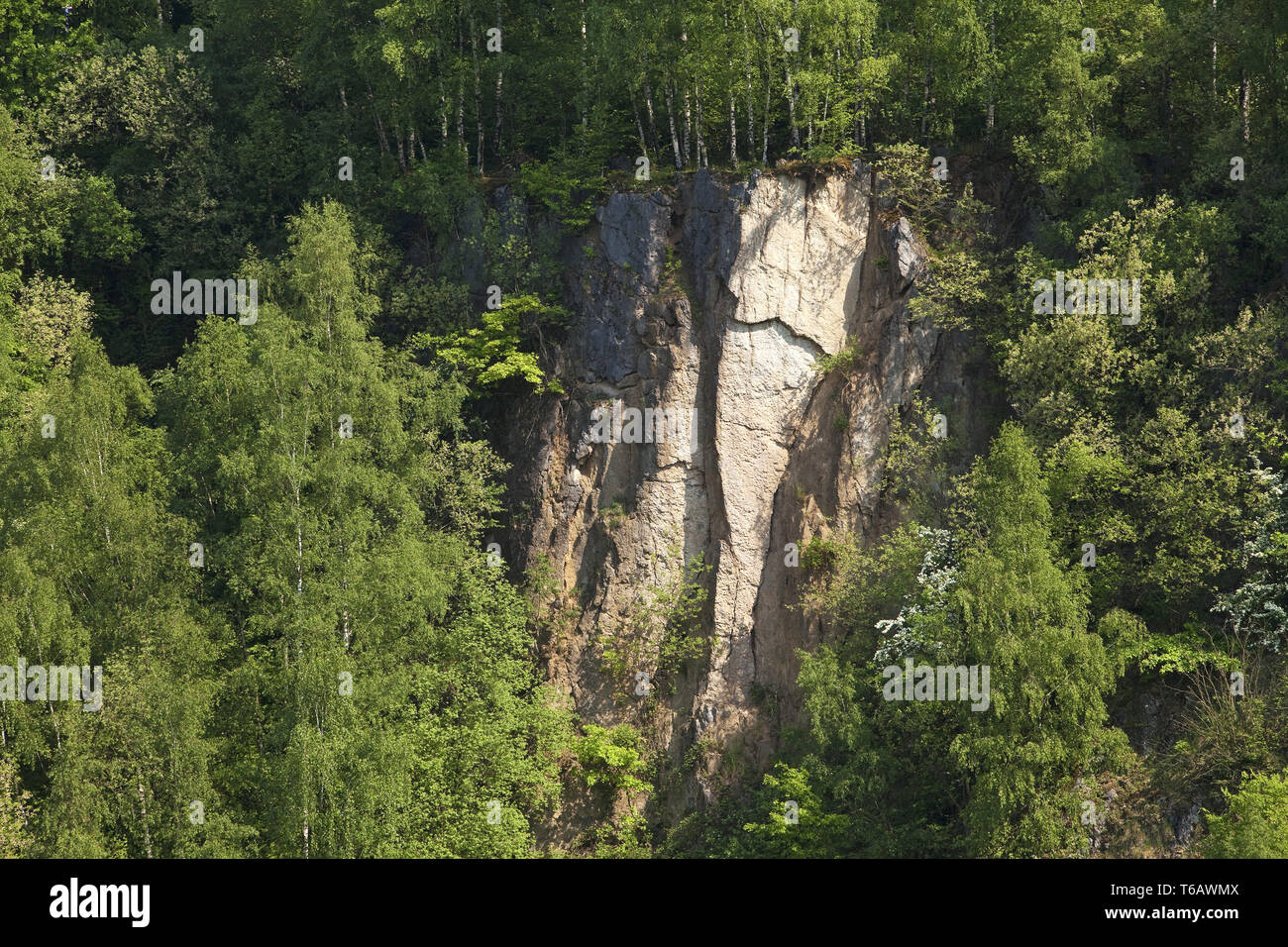 rock formation of former limestone quarry Bochumer Bruch, Wuelfrath ...