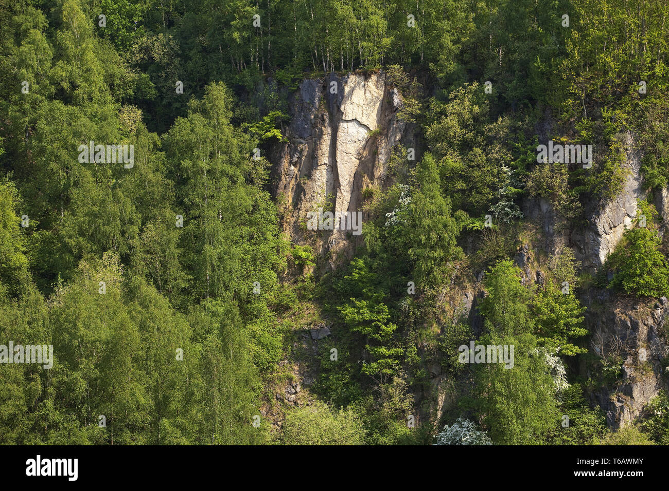 rock formation of former limestone quarry Bochumer Bruch, Wuelfrath ...