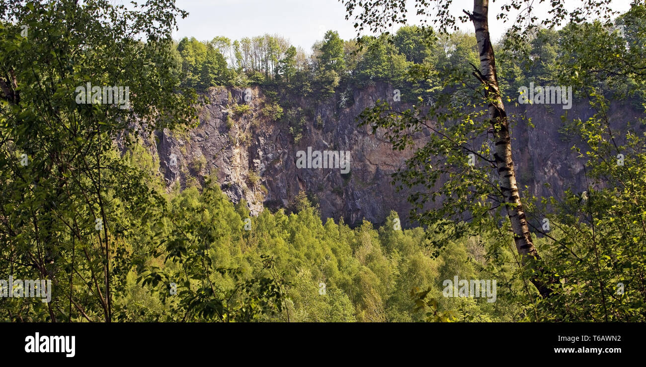 former limestone quarry Bochumer Bruch, Wuelfrath, Bergisches Land ...