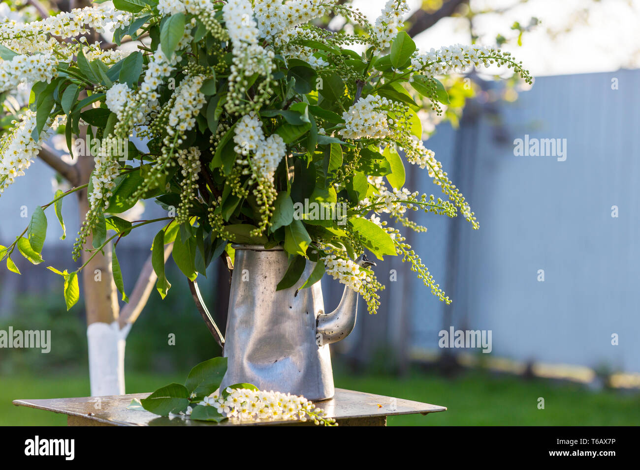 Spring scene in the green garden Stock Photo - Alamy