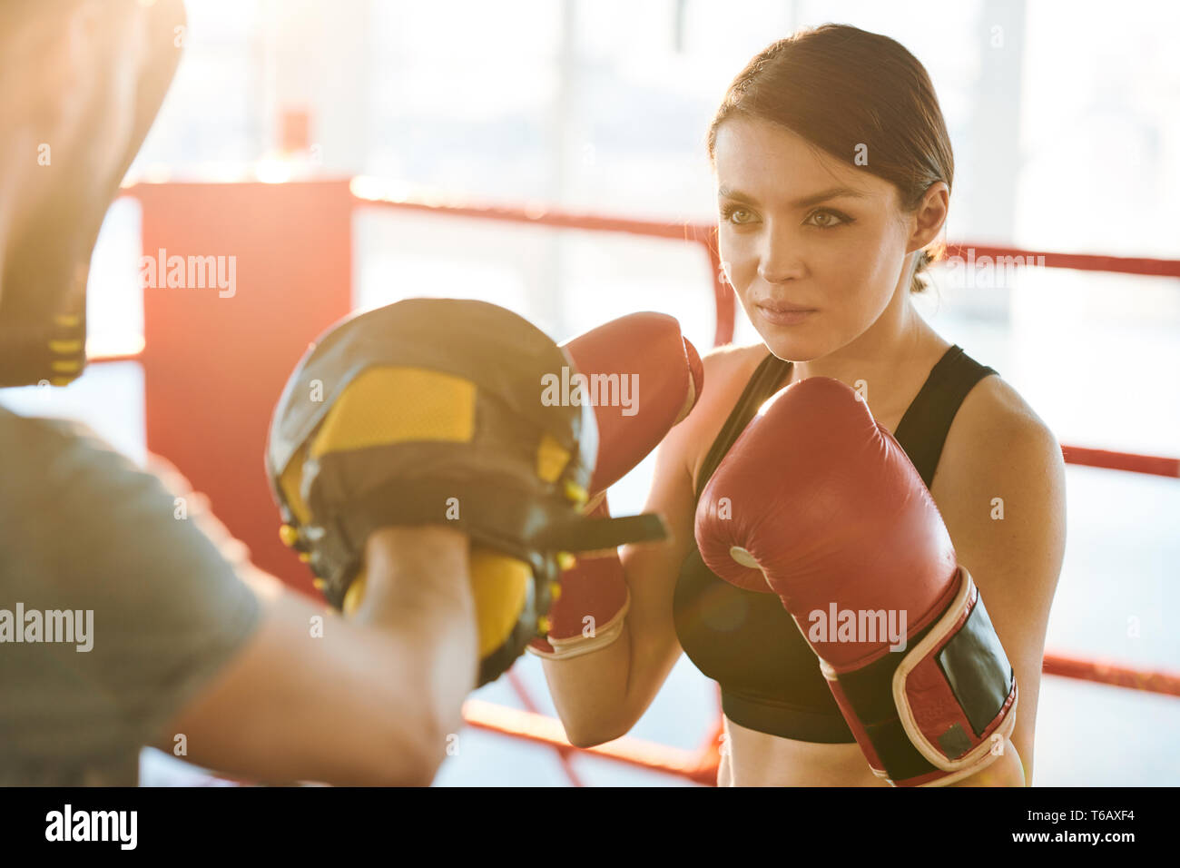 Action competition challenge boxing ring boxing glove hi-res stock ...