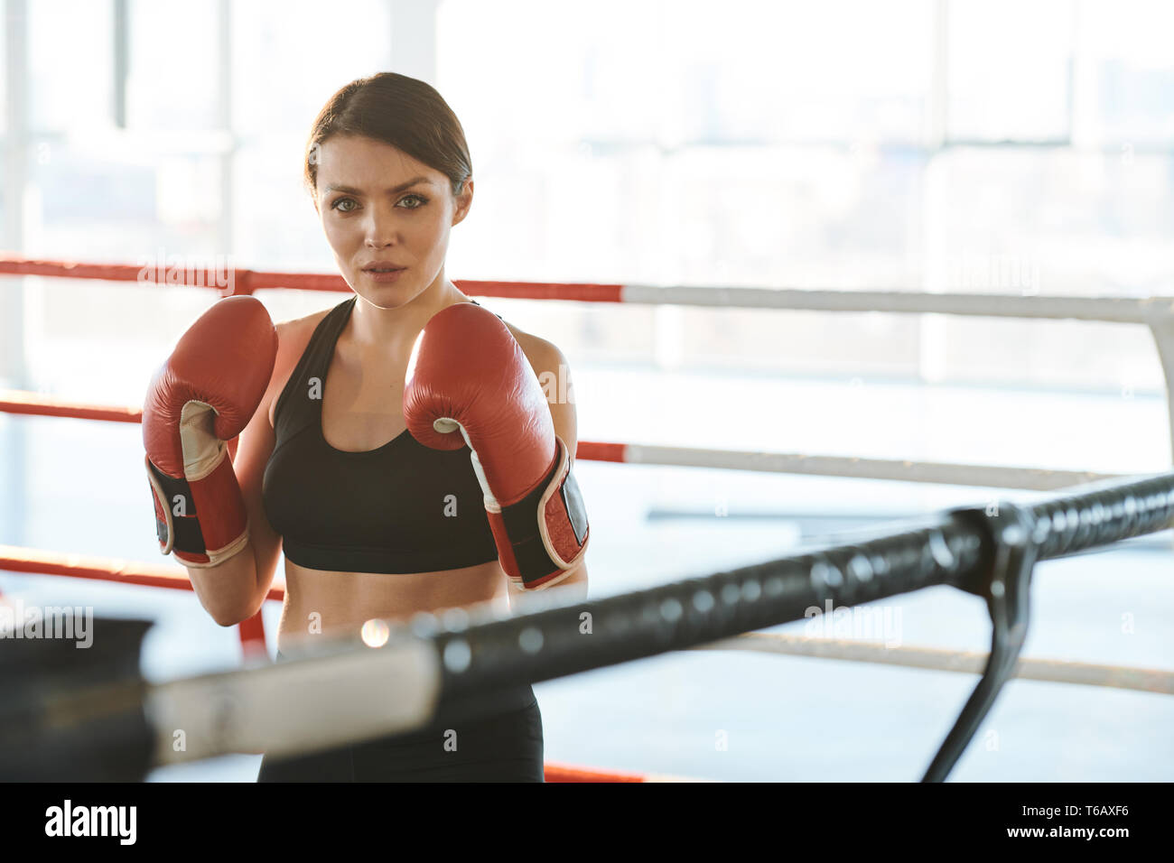 Ready to fight Stock Photo - Alamy