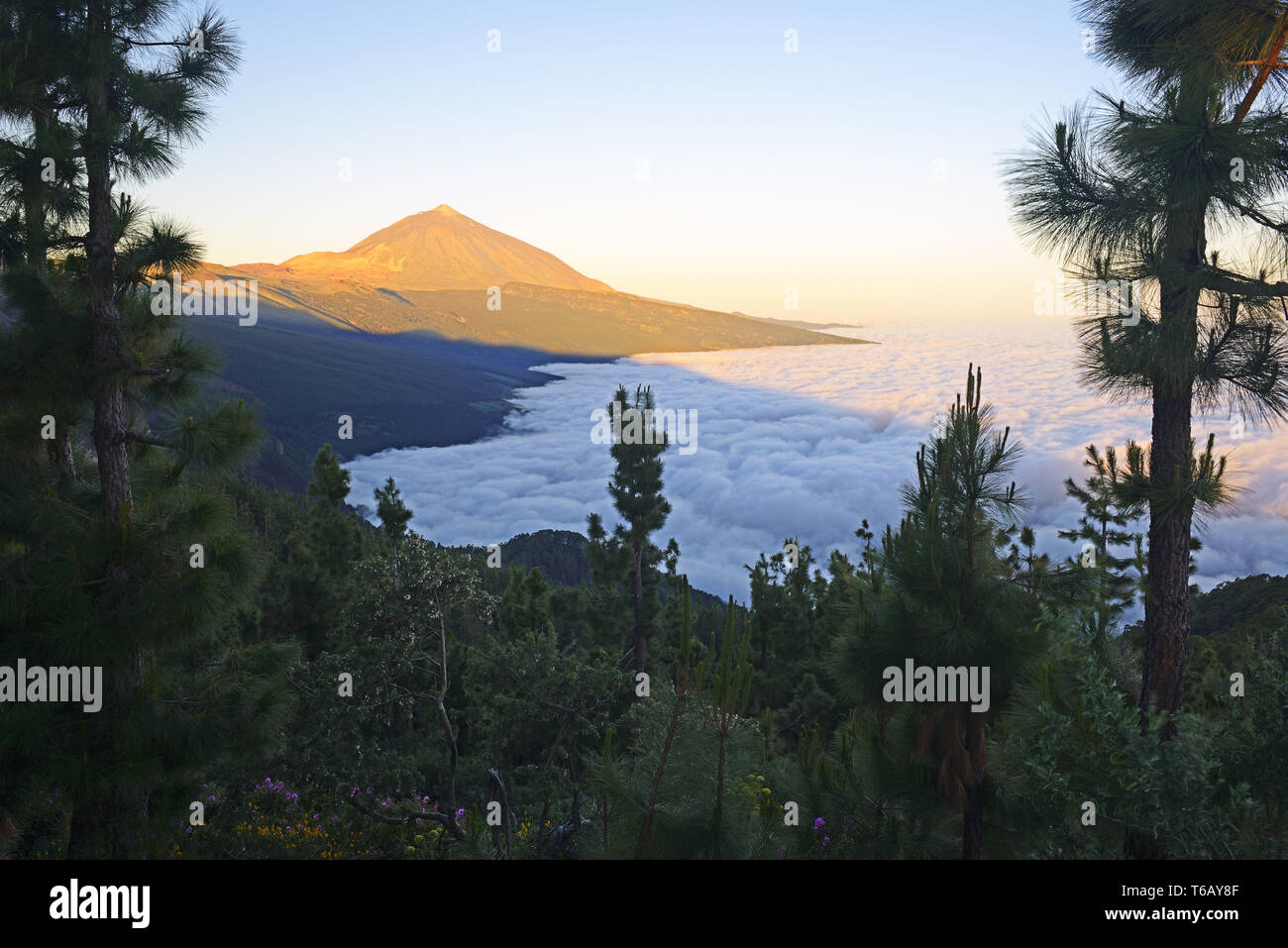 Vulcano Pico del Teide, Teide-Nationalpark, Parque Nacional de las ...