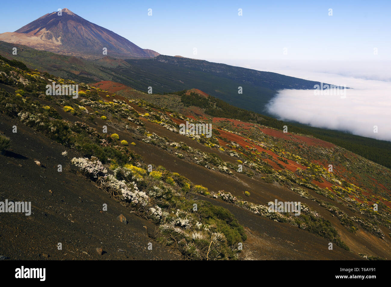 Vulcano Pico del Teide, Teide-Nationalpark, Parque Nacional de las ...
