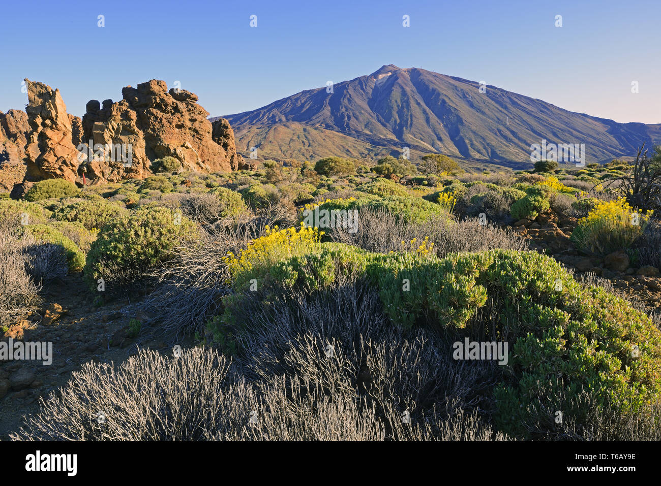 Vulcano Pico del Teide, Teide-Nationalpark, Parque Nacional de las ...