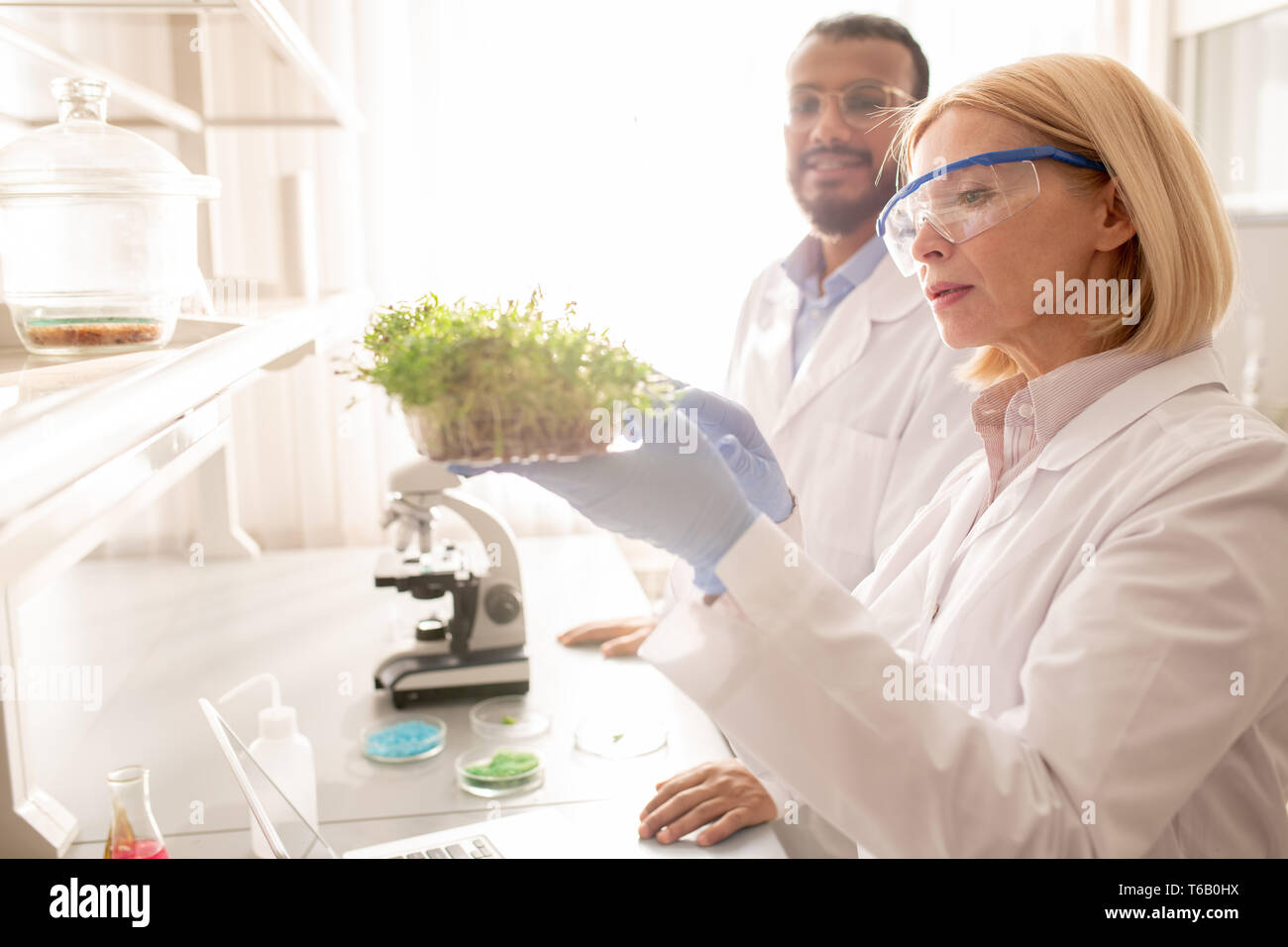 Adult scientists hi-res stock photography and images - Alamy