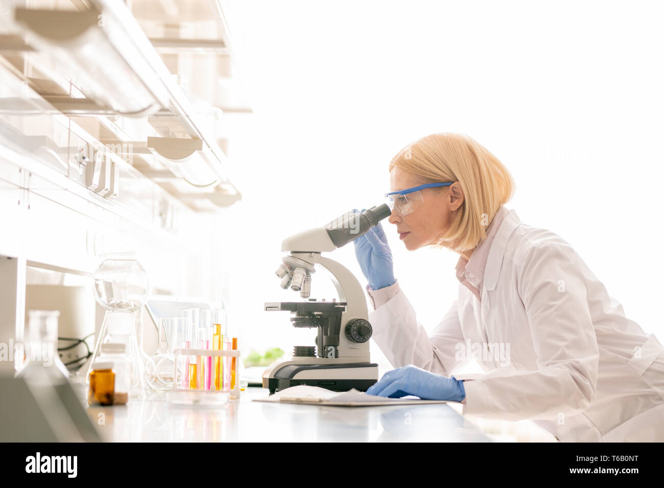 Studying sample through microscope Stock Photo - Alamy