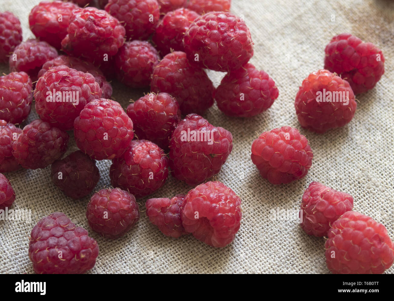 Background fresh attractive hi-res stock photography and images - Alamy