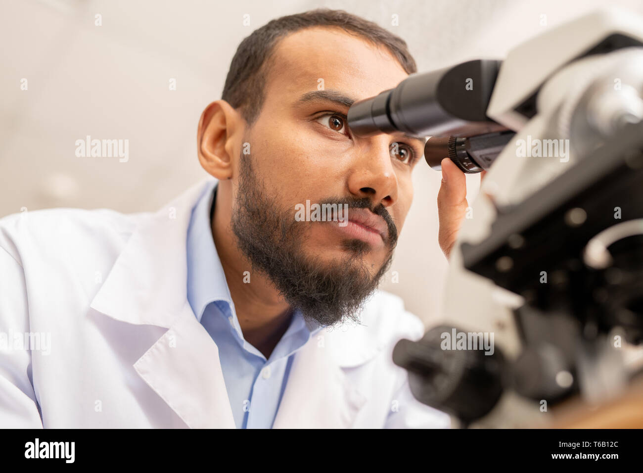 Serious scientist doing research Stock Photo - Alamy