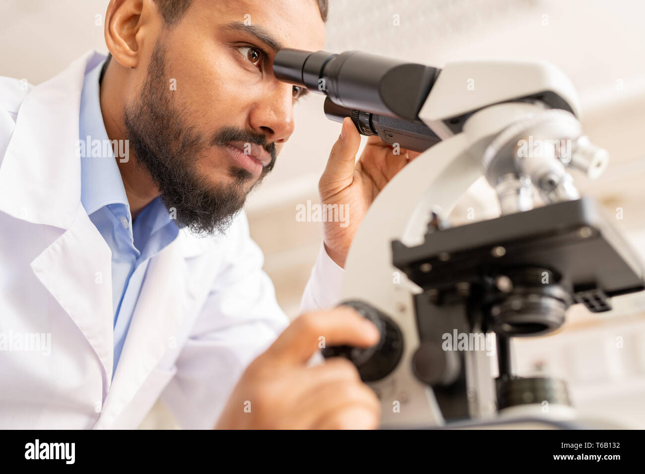Busy medical scientist working in laboratory Stock Photo - Alamy