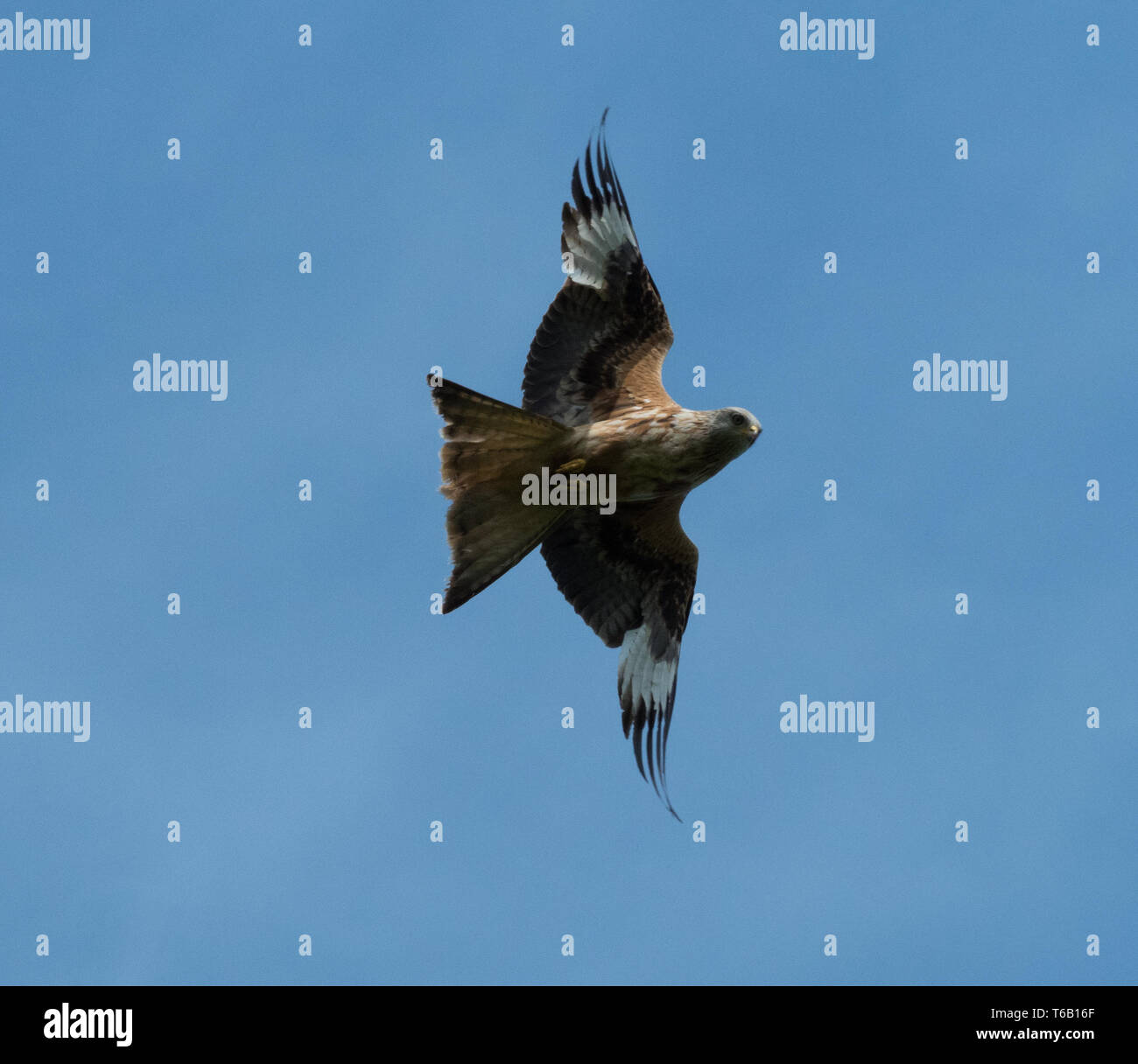 Cold kitchen hill hi-res stock photography and images - Alamy