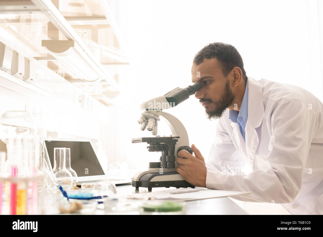 Arabian scientist using modern microscope Stock Photo - Alamy