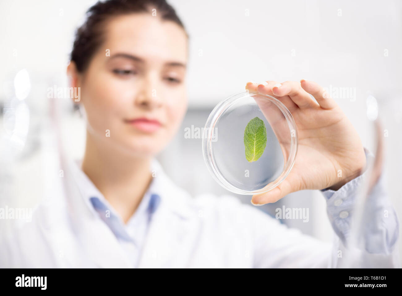 Young science experiment hi-res stock photography and images - Alamy