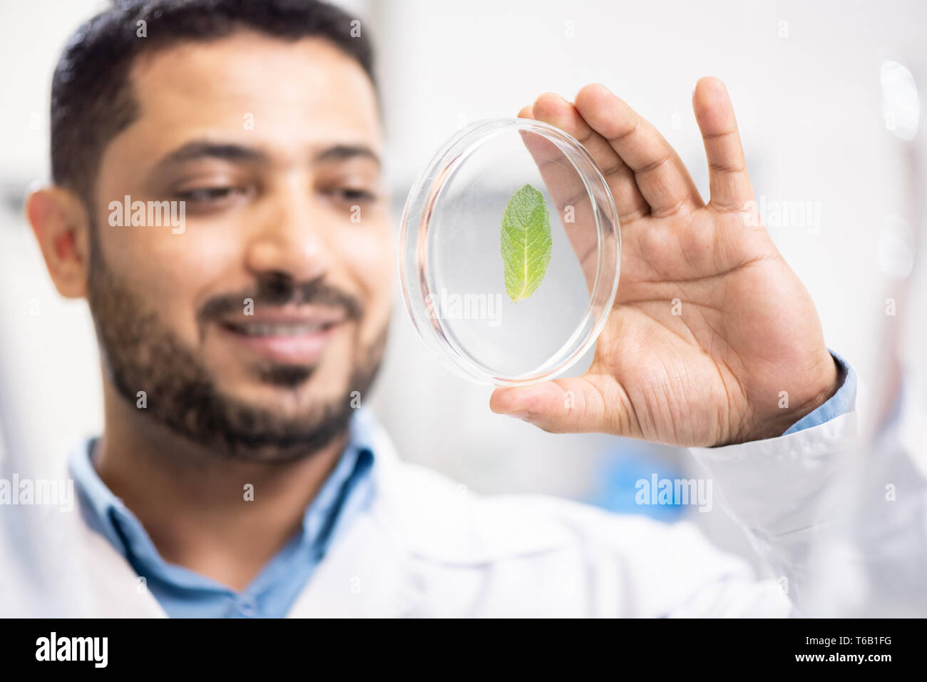 Arabian botanist studying plant Stock Photo - Alamy