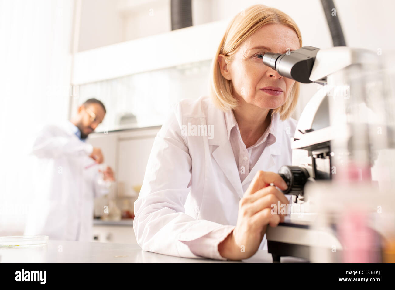 Focused lady adjusting microscope Stock Photo - Alamy